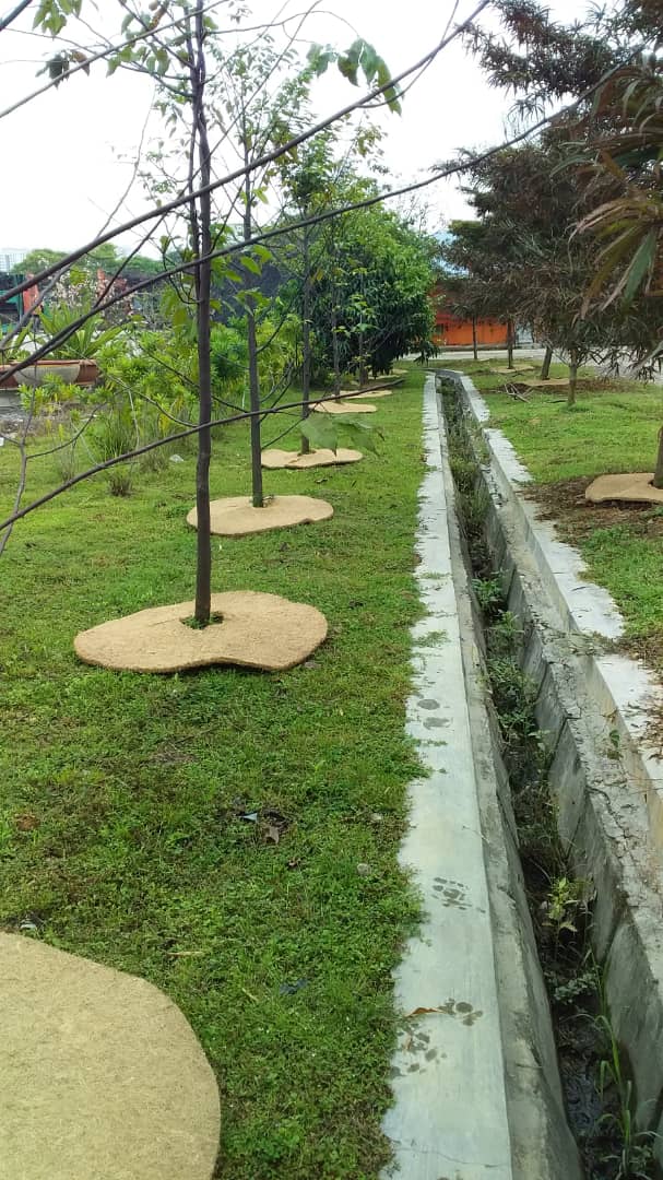 Biodegradable mulch mats for trees – Grow Fresh, Healthy Greens ...