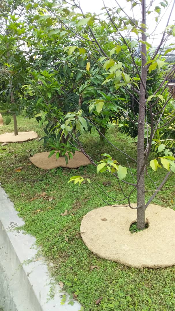 Biodegradable mulch mats for trees – Grow Fresh, Healthy Greens ...