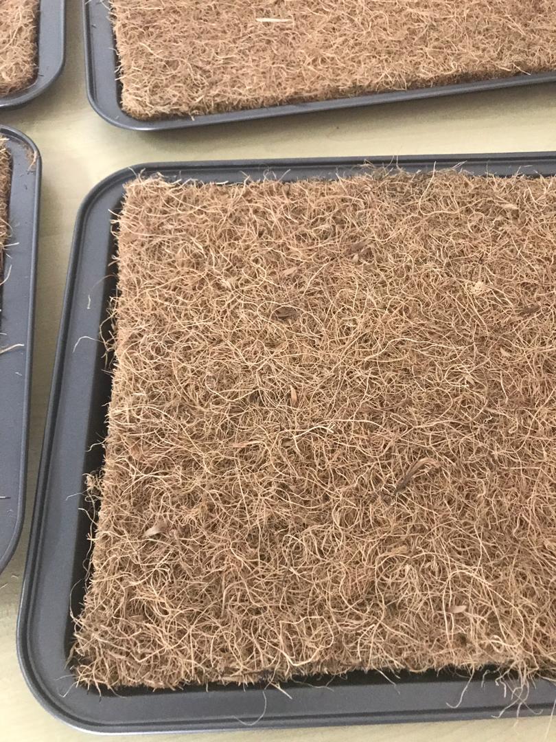 Organic coconut coir sheets – Grow Fresh, Healthy Greens: Organic ...