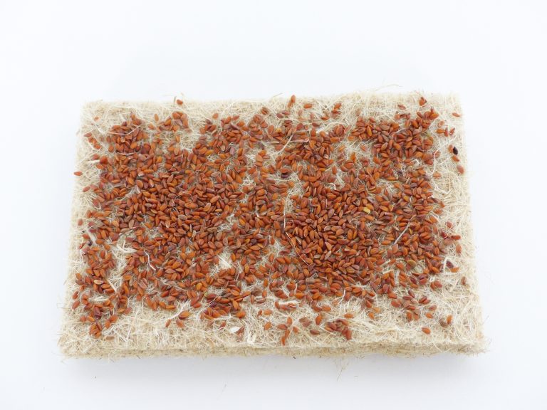 Hydroponic grow mat – The Leader in Organic Microgreen Growing Media