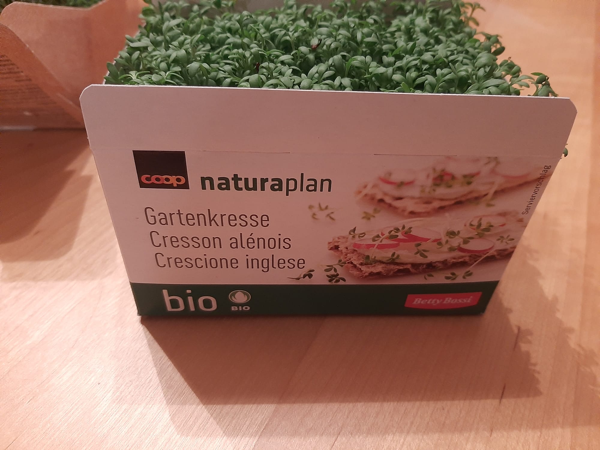 CARDBOX BOX / CONTAINER – The Leader in Organic Microgreen Growing Media